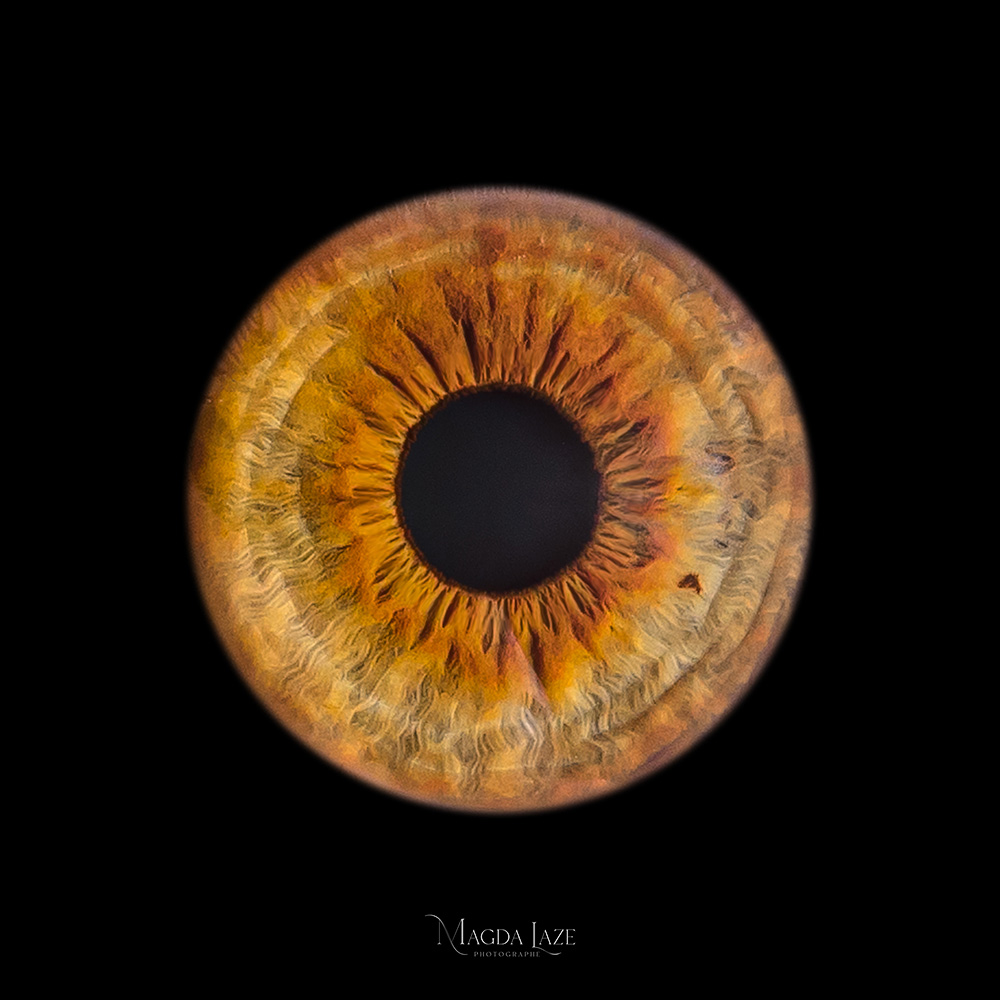 Iris Art - Photographe Le Mans, Mulsanne, Sarthe